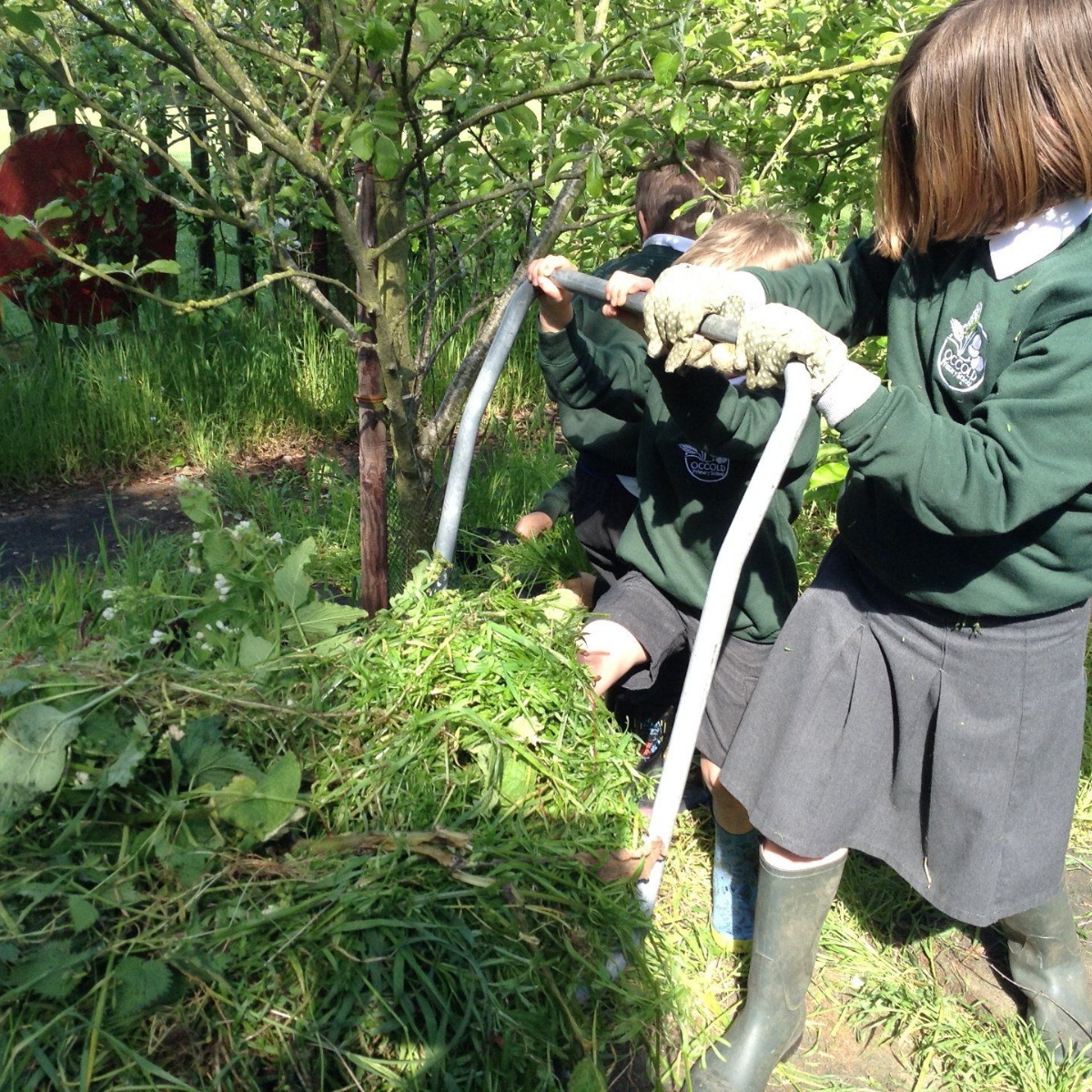 Occold Primary School - Time to spring clean the allotment!